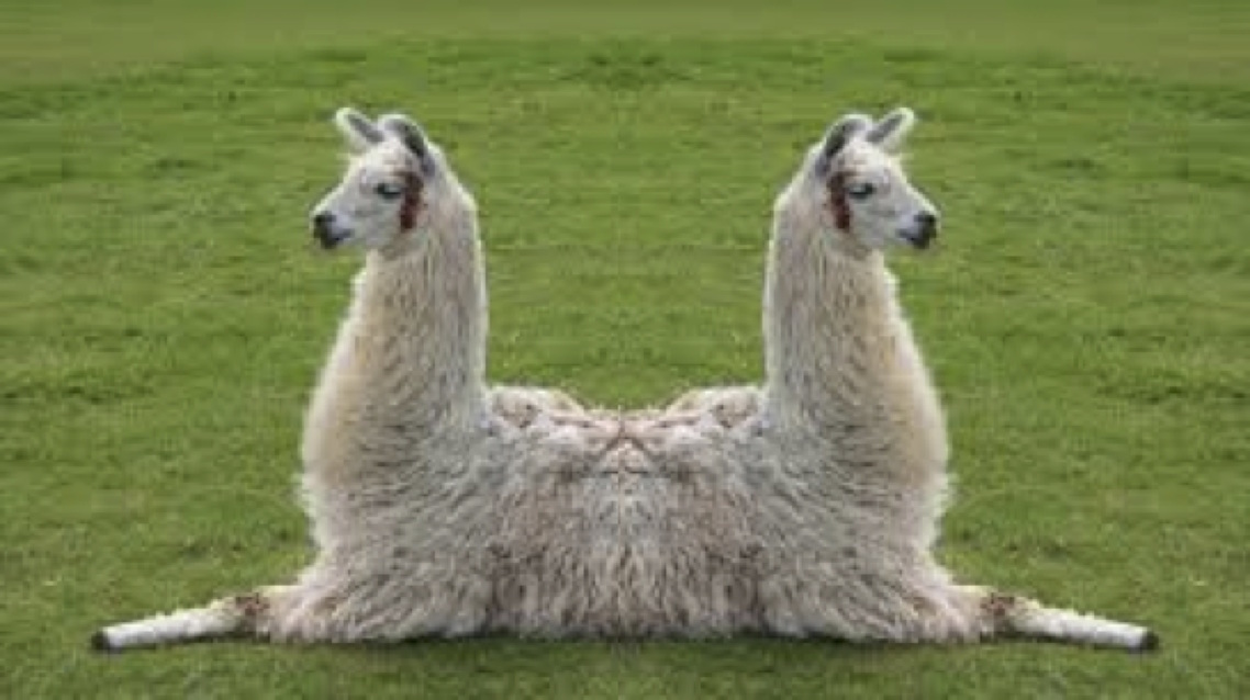 What does (one of) my favourite cars say about myself? : r ...